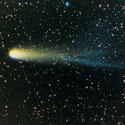 Edmond Halley The Astronomer Royal And His Comet