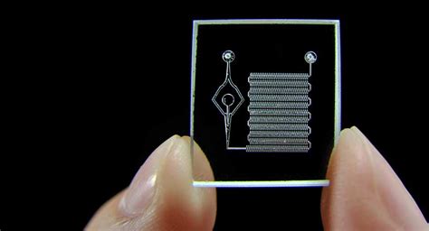 Alia Biotech Unveils Lab On Chip Platform For Multiplex Testing