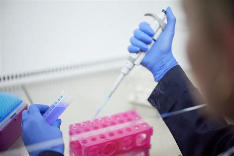 Daisy Lab Breakthrough Yields High Levels Of Lactoferrin Through