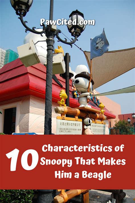 Is Snoopy A Beagle 10 Characteristics Of Snoopy That Makes Him A Beagle