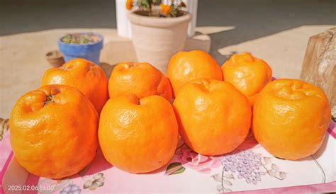 اپنا باغیچہ Apna Baghicha دل مغموم ہے سنگترے ختم ہونے کے قریب 😅