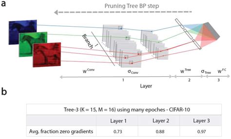 Bp Step On Highly Pruning Tree 3 Architecture A Scheme Of A Bp Step