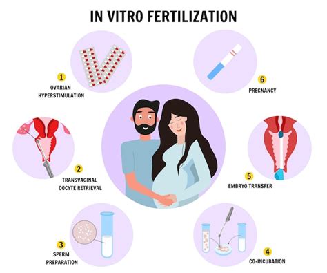 Premium Vector In Vitro Fertilization Cartoon Concept In Vector