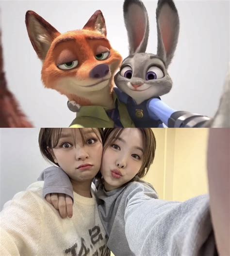 주토피아 따라하는 트와이스 정연 나연 촬스의 이슈와 유머