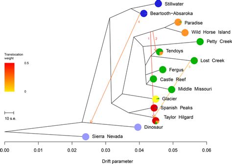 Treemix Population Tree With Four Detected Translocations Orange