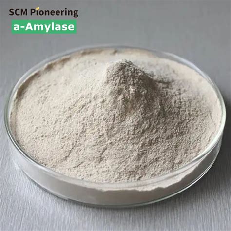 Food Grade Fungal Alpha Amylase Enzyme For Starch Hydrolysis Fungal