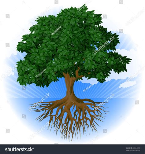 Tree With Roots Vector 60384679 Shutterstock