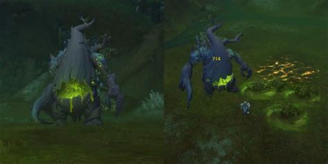 Complete Guide To Brackenhide Hollow Dungeon In Wow Dragonflight Complete Guide To Brackenhide Hollow Dungeon In Wow Dragonflight