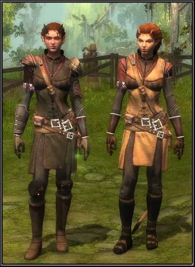 Character Facelift 2022 At Neverwinter 2 Nexus Mods And Community
