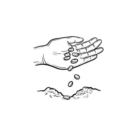 Sow Illustrations Royalty Free Vector Graphics And Clip Art Istock