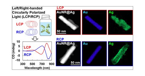 Circularly Polarized Light Induced Chiral Growth Of Achiral Plasmonic Nanoparticles Dispersed In