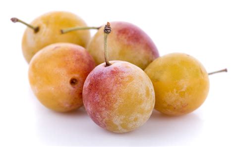 Exploring The Exquisite Mirabelle Plum A Culinary Gem Small Batch Jam Co