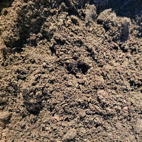 Grassland Mix Substrate Reptile Ready