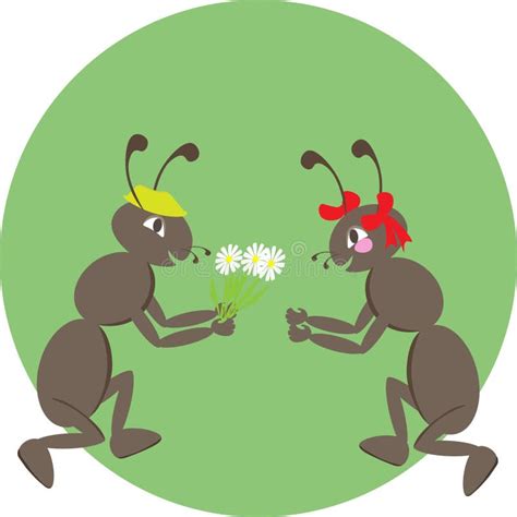 A Cute Ant In A Cap Gives Flowers To An Ant With Red Bows Stock Illustration Illustration Of