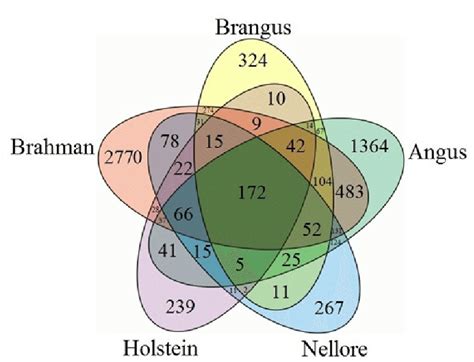 Venn Diagram Comparing Snps Present In Brangus Angus Brahman
