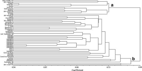 Upgma Dendrograms Of Cluster Analysis Of The 49 Switchgrass Genotypes