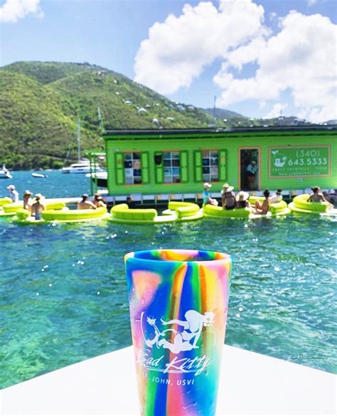 Bad Kitty Saint John Boat Charters