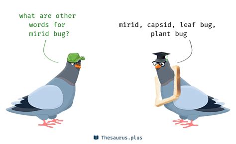 4 Mirid Bug Synonyms Similar Words For Mirid Bug