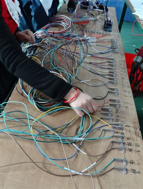 Chassis Wire Harness Assembly Hooha Harness Since 2001