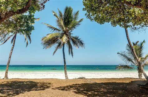 The 12 Best Hotels In Malindi Top Beachside Gems Uncovered Inspired