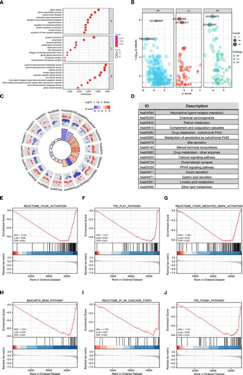 Identification Of Cfhr4 As A Potential Prognosis Biomarker Associated