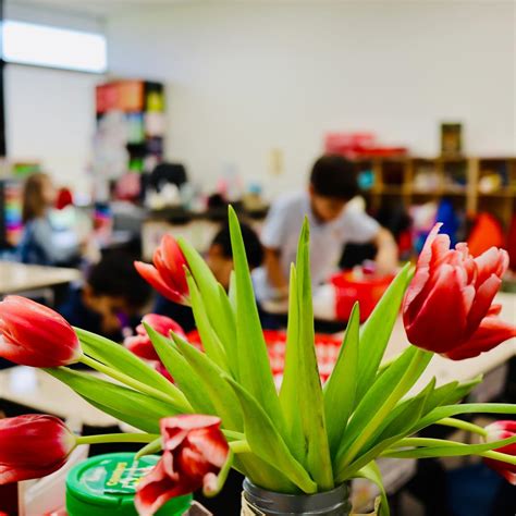 Parnassus Preparatory School The Prima Students Had Fun Learning