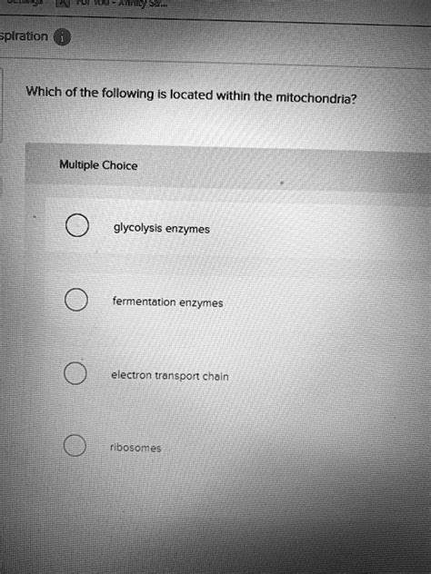 Solved Which Of The Following Is Located Within The Mitochondria Multiple Choice Glycolysis