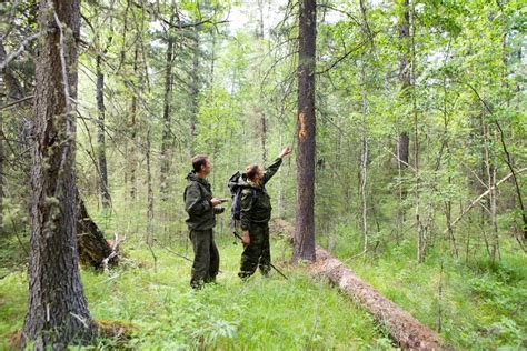 Forest Ranger What Is It And How To Become One
