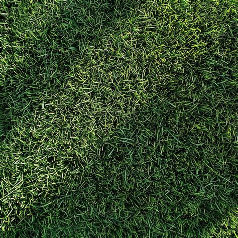 A Green Grass With The Name Of The Word Quot On It Quot Premium Ai