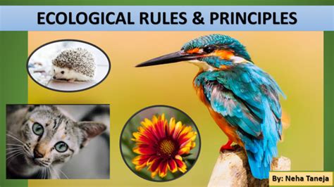 Csir Ugc Net Hindi Ecological Rules And Principles Csir Ugc Net