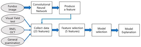 Explainable Machine Learning Model For Glaucoma Diagnosis And Its Interpretation