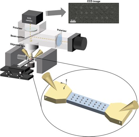 Schematic Illustration Of Moke Microscope Setup Light Emitted From The