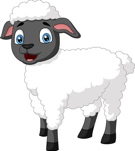 Cartoon Sheep Drawing How To Preview 23 Drawing Cartoon Sheep