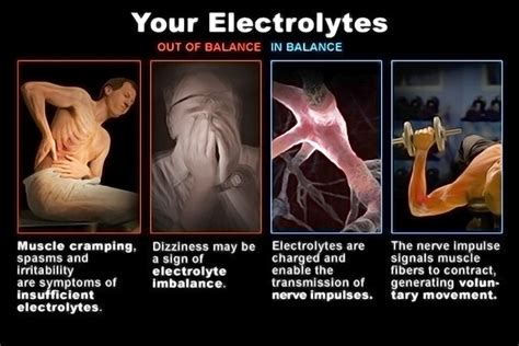 Electrolytes In The Body