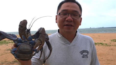 為了吃上極品椰子蟹，漠叔跑遍了整個海南島尋找，最後有彩蛋！ 大漠叔叔 Youtube