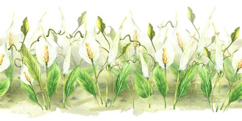 Greenery Border Pngs For Free Download