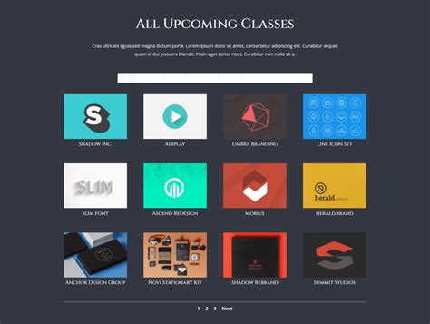 How To Style A Grid Item In Divis Filterable Portfolio Module Ask