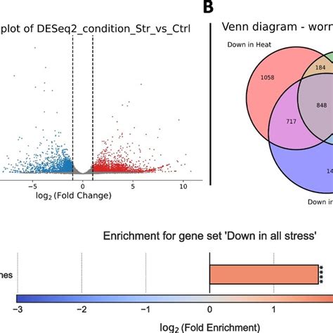Gene Expression Plots And Enrichment Analysis Of Time Series Gene Download Scientific Diagram