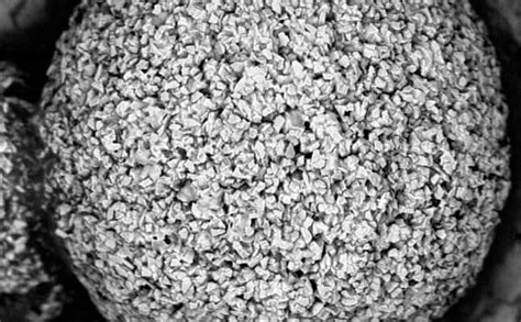 Characterization Services Particle Imaging Aveka