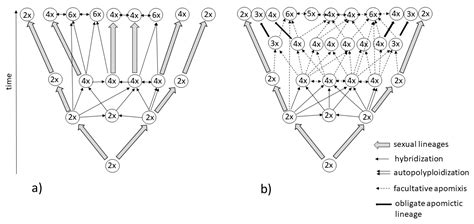Novel Approaches For Species Concepts And Delimitation In Polyploids