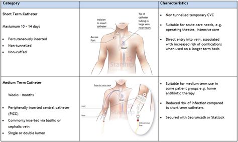 Picc Line Coding Cheat Sheet With Coding Tips Norway 41 Off