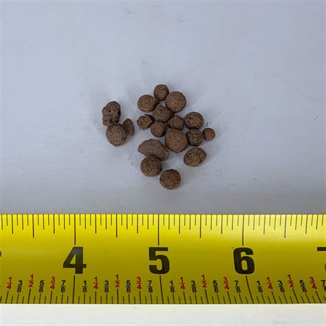 Leca Drainage Layer Small Granules 1l Frog Dirt