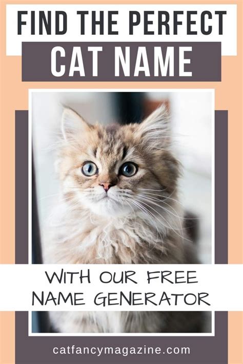 150 Unique Viking And Norse Cat Names With Meanings Cat Fancy Magazine