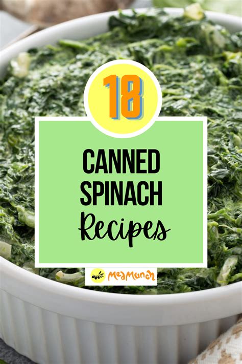 How To Use Canned Spinach In Recipes At Tristan Wilkin Blog