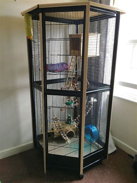 Sugar Gliders Cage