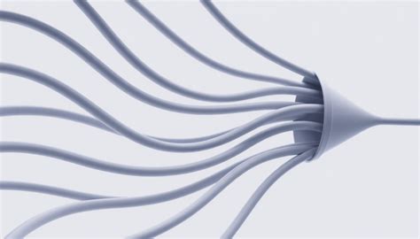 Monitoring Vs Reporting Whats The Difference