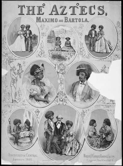 10 Maddede İnsanlık Tarihin Karanlık Yüzü İnsanat Bahçeleri 10layn