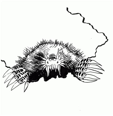 Planse Desene De Colorat Cartita Planse De Colorat Si Educative