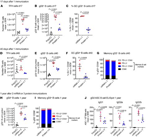 Tfh Cell Gd2 Specific Gc B Cell And Memory B Cell Responses Are More Download Scientific
