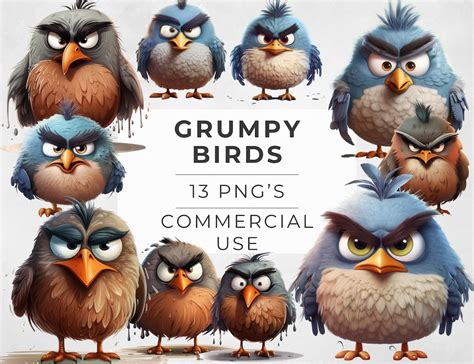 Grumpy Bird Digital Quirky Birds Clipart Cartoon Png Nursery